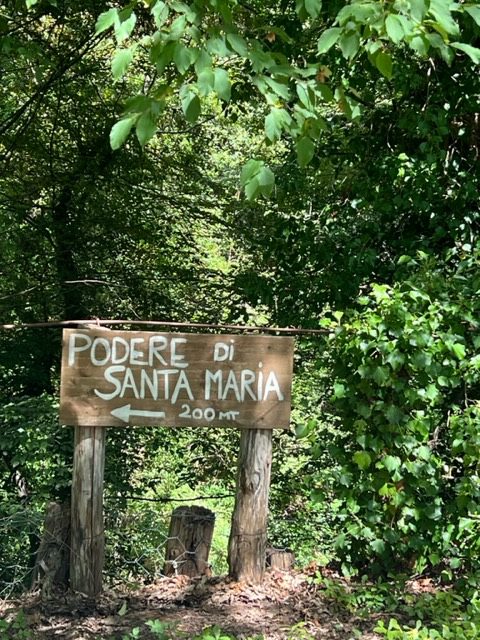Podere di Santa Maria - Forest Stillness