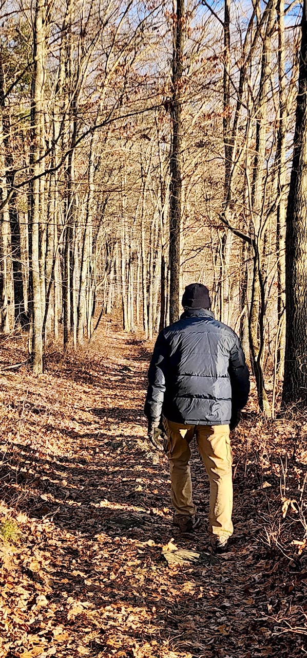 Silent Walking - Forest Stillness